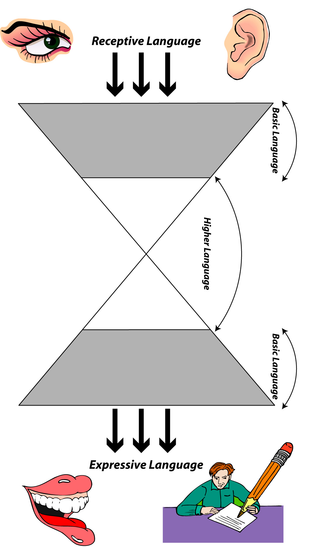 Treasure Trove of Creative Writing Online Classes | Interfaces.com
